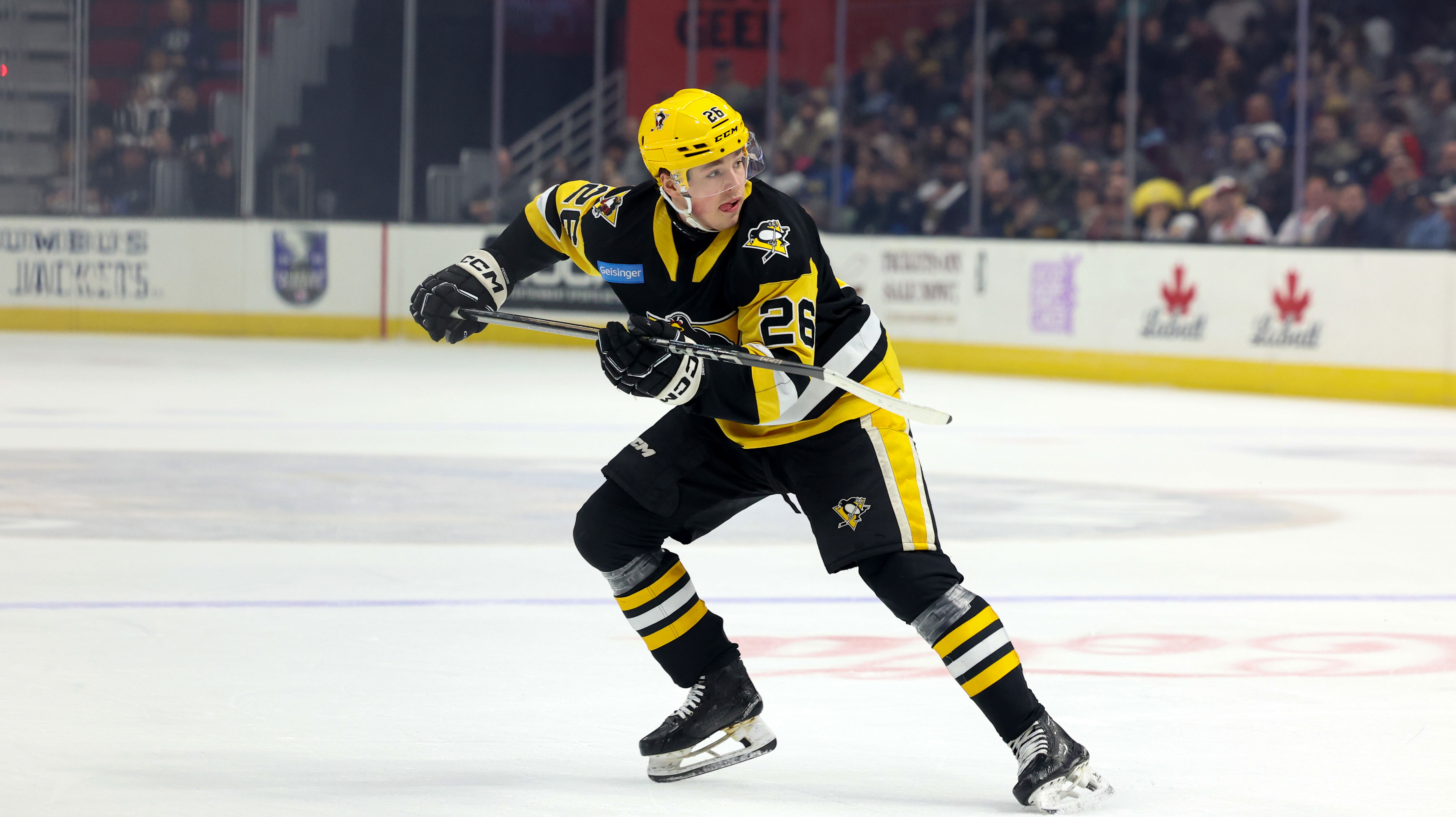 Wilkes Weekly: Getting ready for Hershey