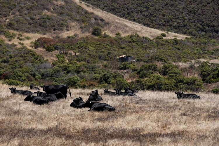 New national monument site opening near Santa Cruz will feature first ...