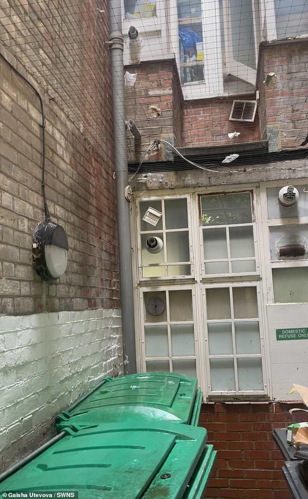 Council only came to fix annoying leak after I listed it as a waterfall ...