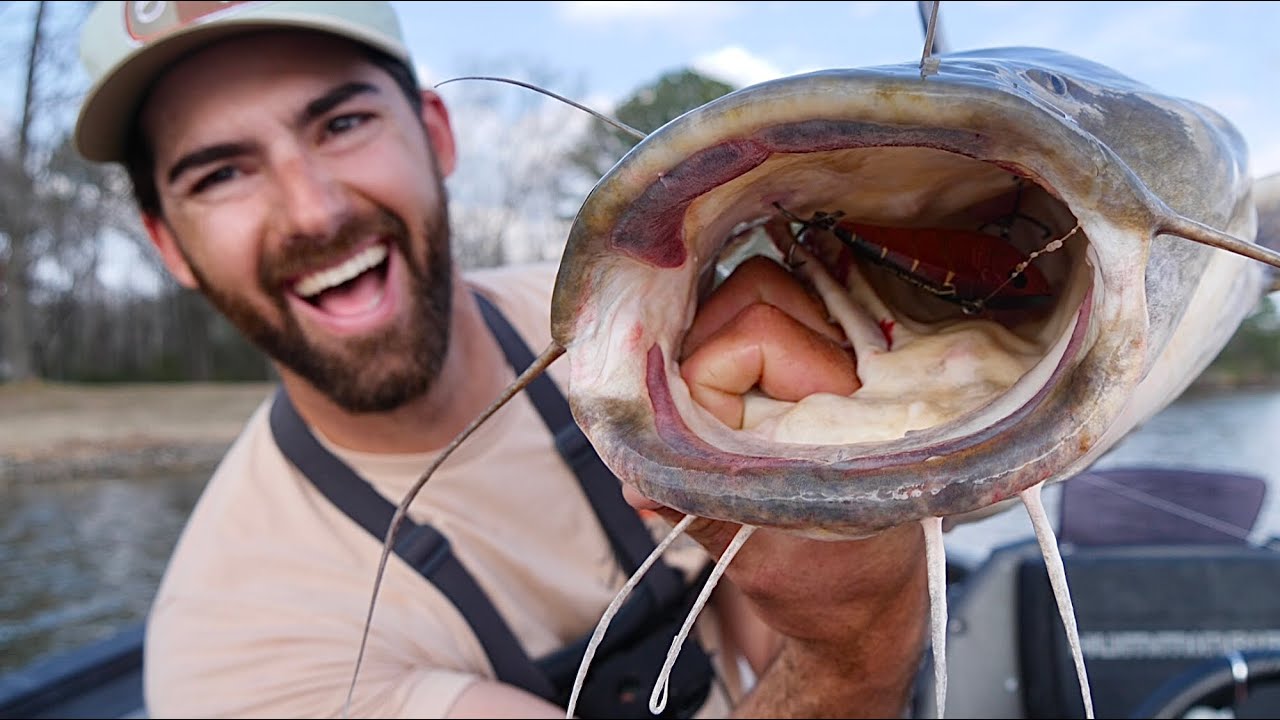 Thought I was bass fishing, then lake monster showed up spicy