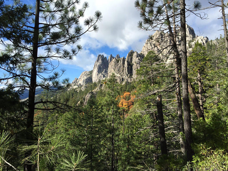 5 underrated Shasta-Trinity National Forest trails that beat the crowds