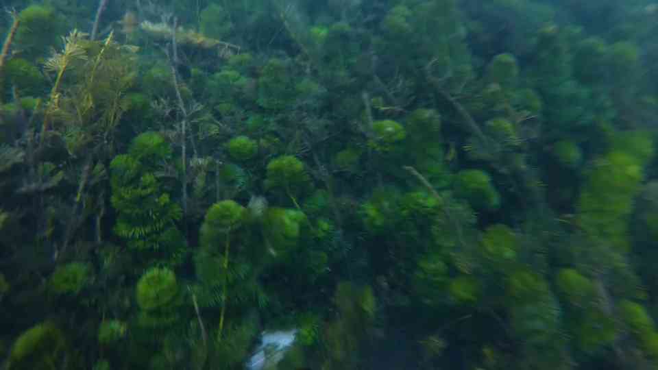 I CAN'T BELIEVE HOW MUCH STUFF I FOUND AT THIS SPOT!! (Broke My Record!)