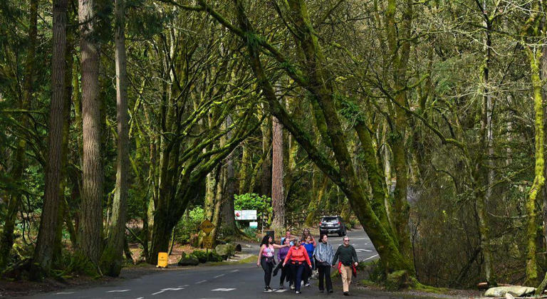 Was woman's stabbing on Tacoma park trail attempted murder? Here's the ...