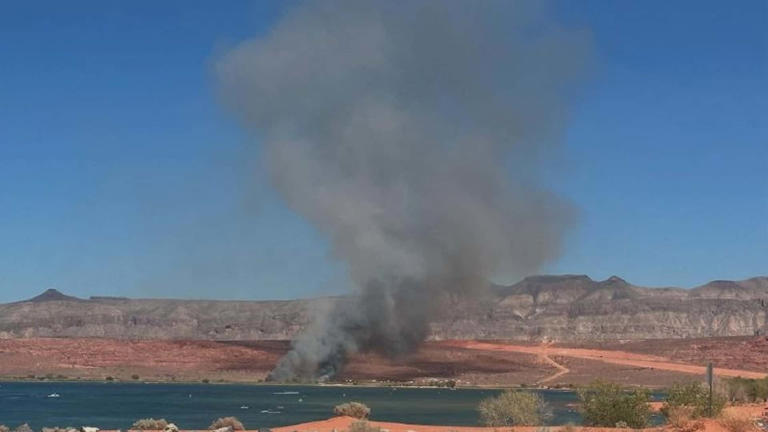 A Reminder, Don't Drink and Drive an ATV and Start a Forest Fire