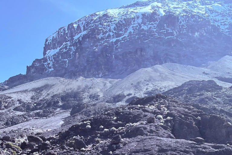 He's done it! Daredevil MP Alex Easton summits Kilimanjaro, scaling ...