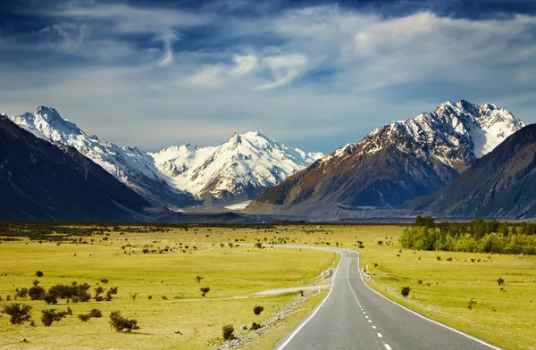 15 Local NZ Adventures Travelers Love