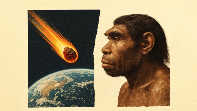 How two freak accidents shaped human evolution