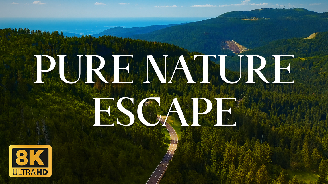 Find Serenity – Pure Nature Escape in 4K