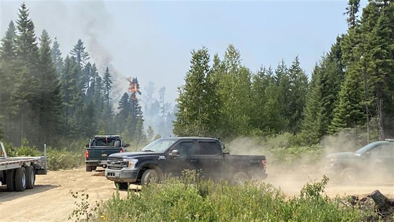 New Brunswick wildfires: Blaze near Miramichi jumps to more than 1,100 ...
