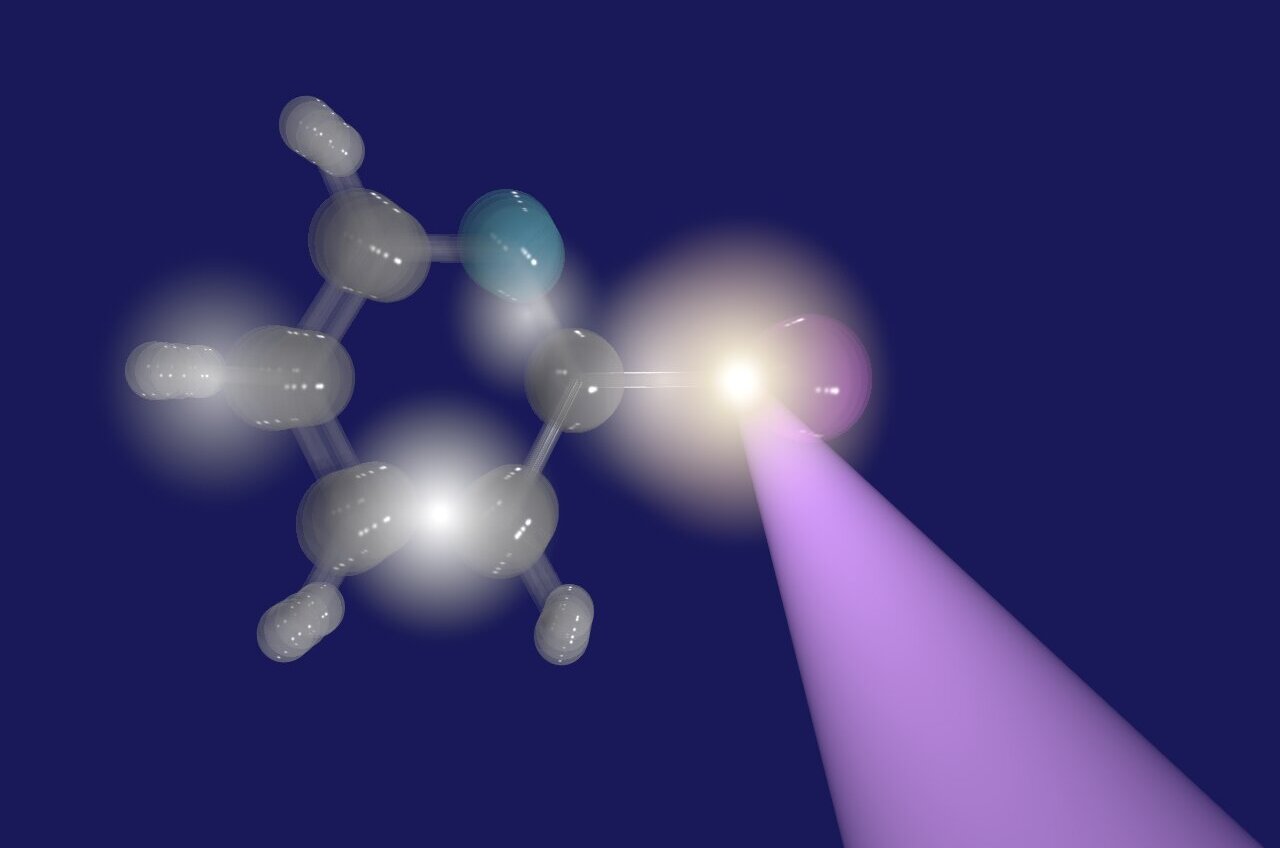 Direct visualization of quantum zero-point motion in complex molecule ...