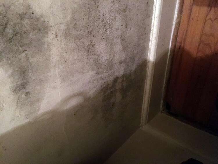 After winning mold suit, military couple is stymied by appeals court