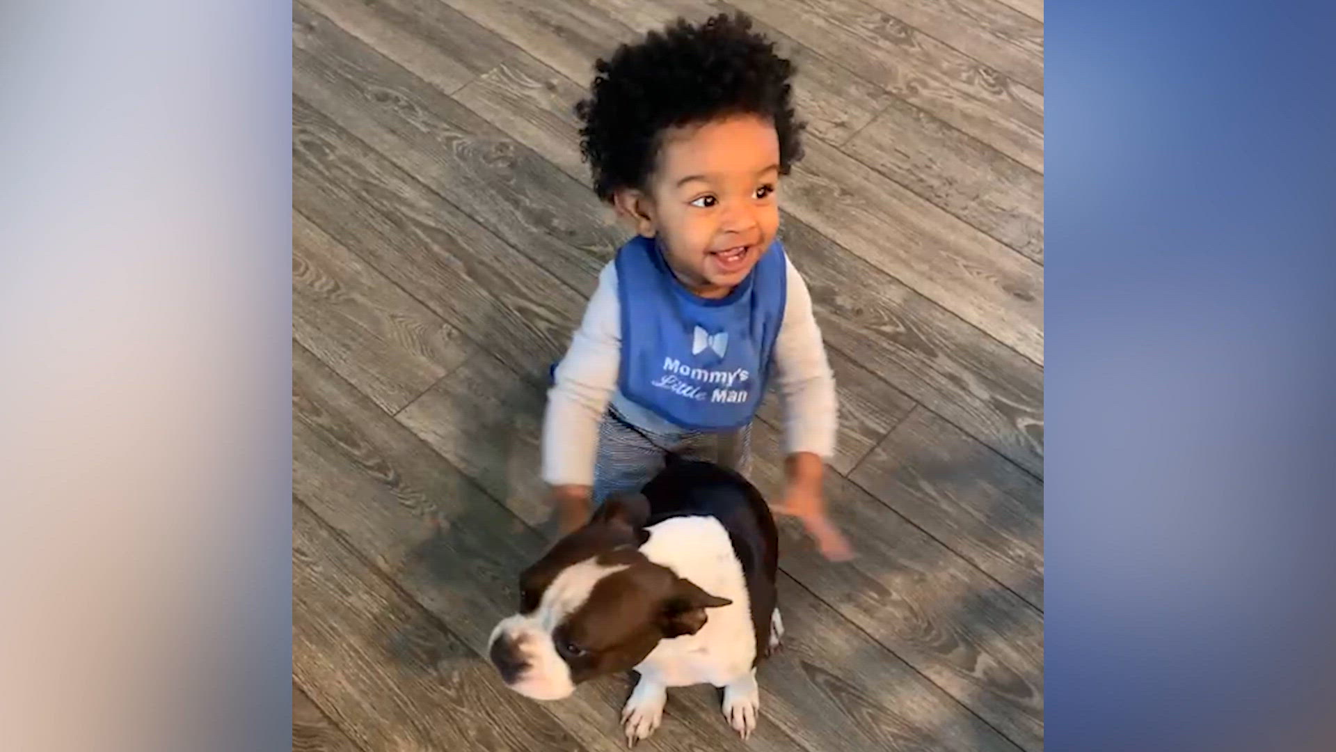 Animals, Babies and Kids