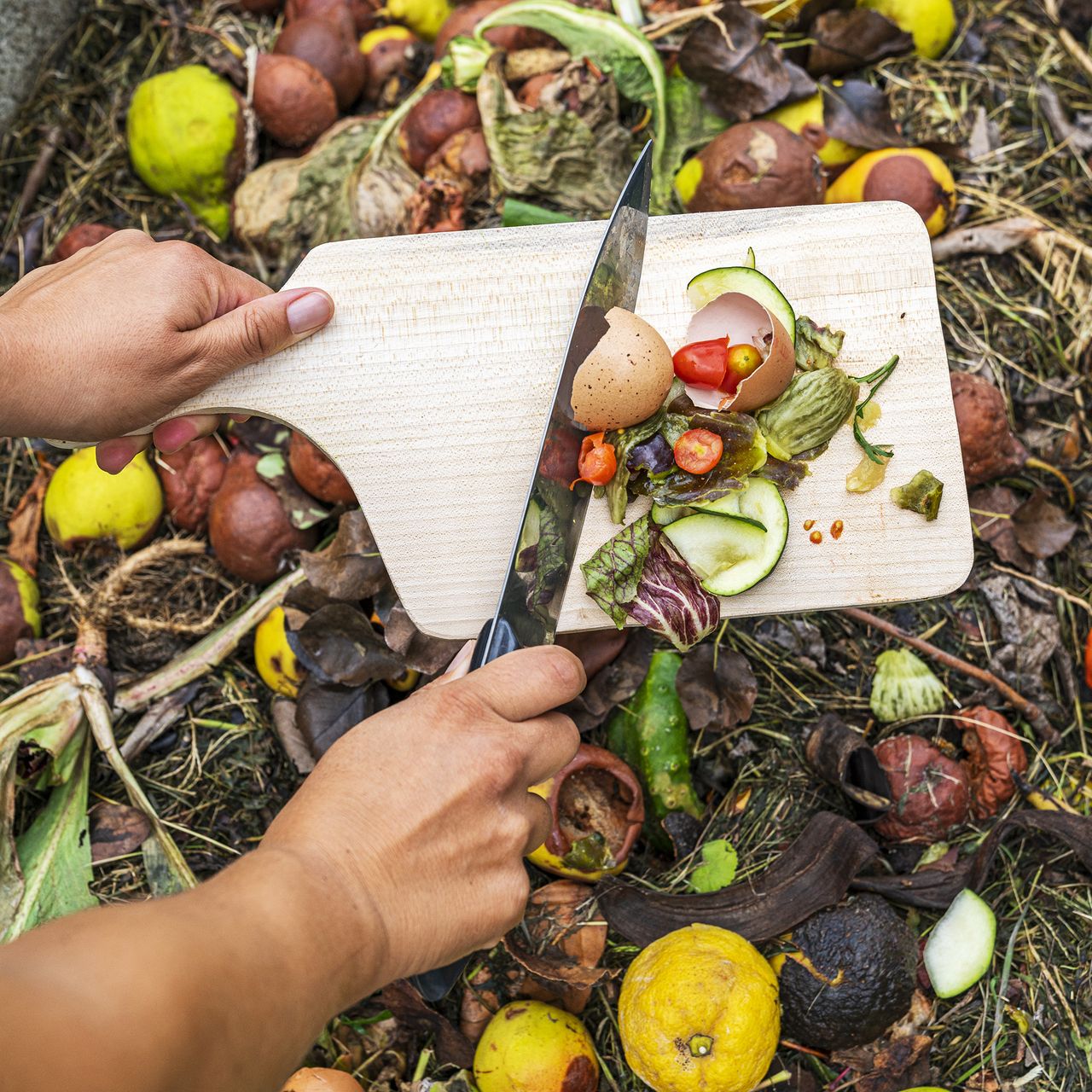 why-does-my-compost-smell-bad-common-causes-and-easy-fixes