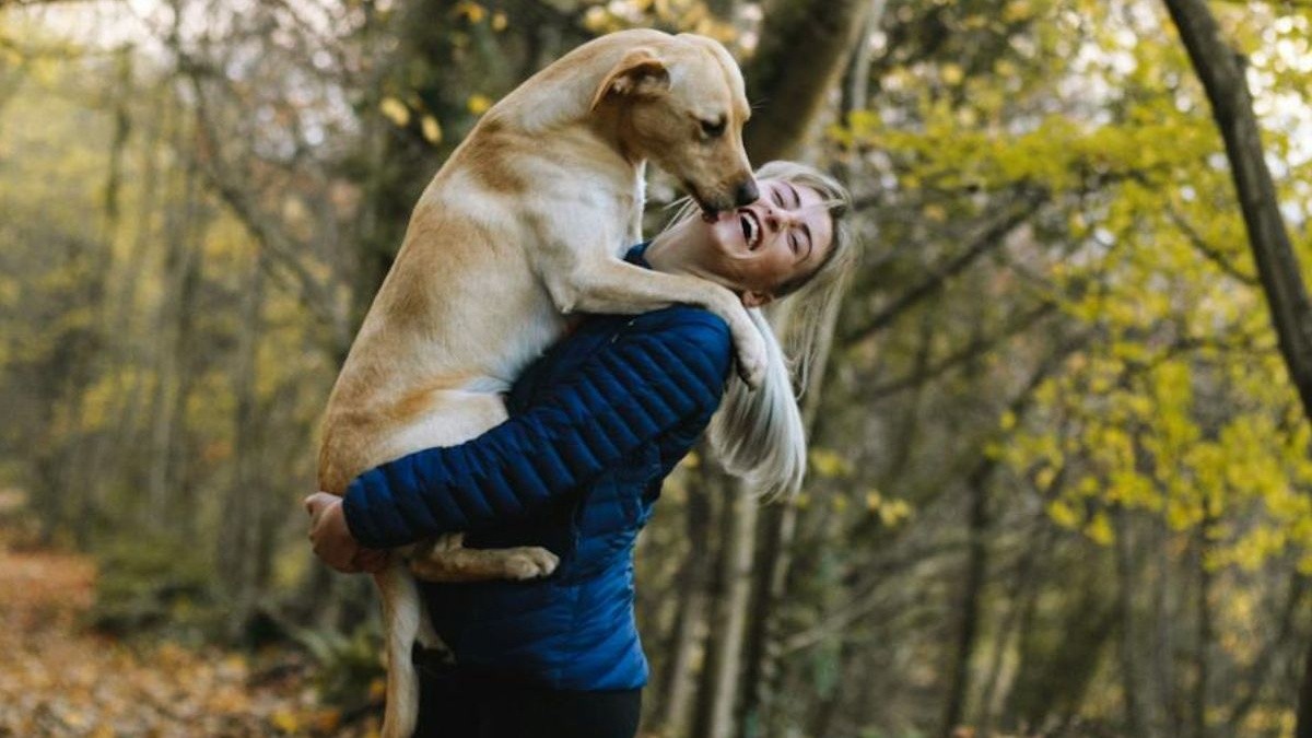 10 signs that you're your dog's favorite human and 5 others that mean he doesn't completely ...