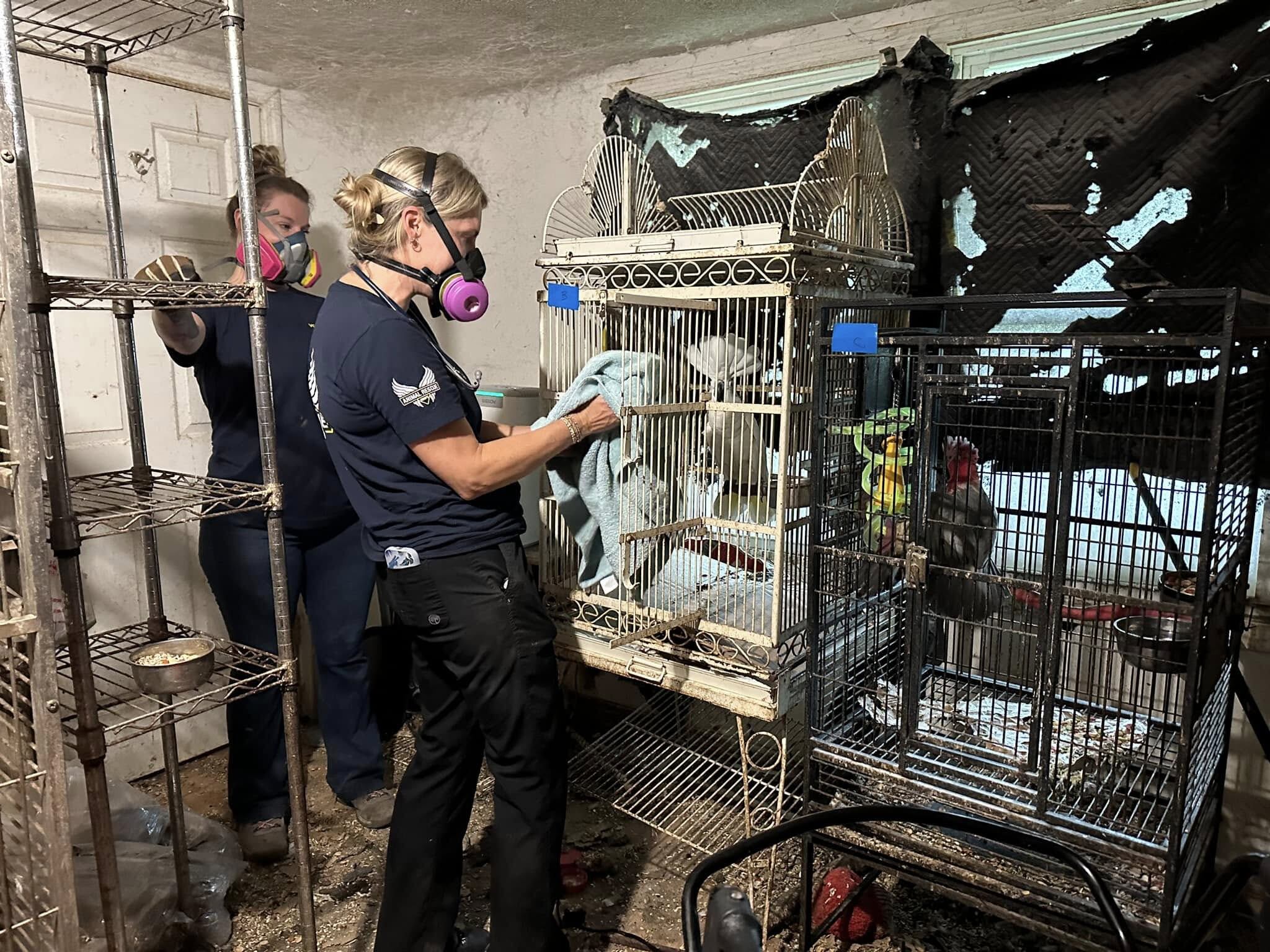 Nearly 20 animals rescued from ‘filthy, trash-strewn property’ in TN