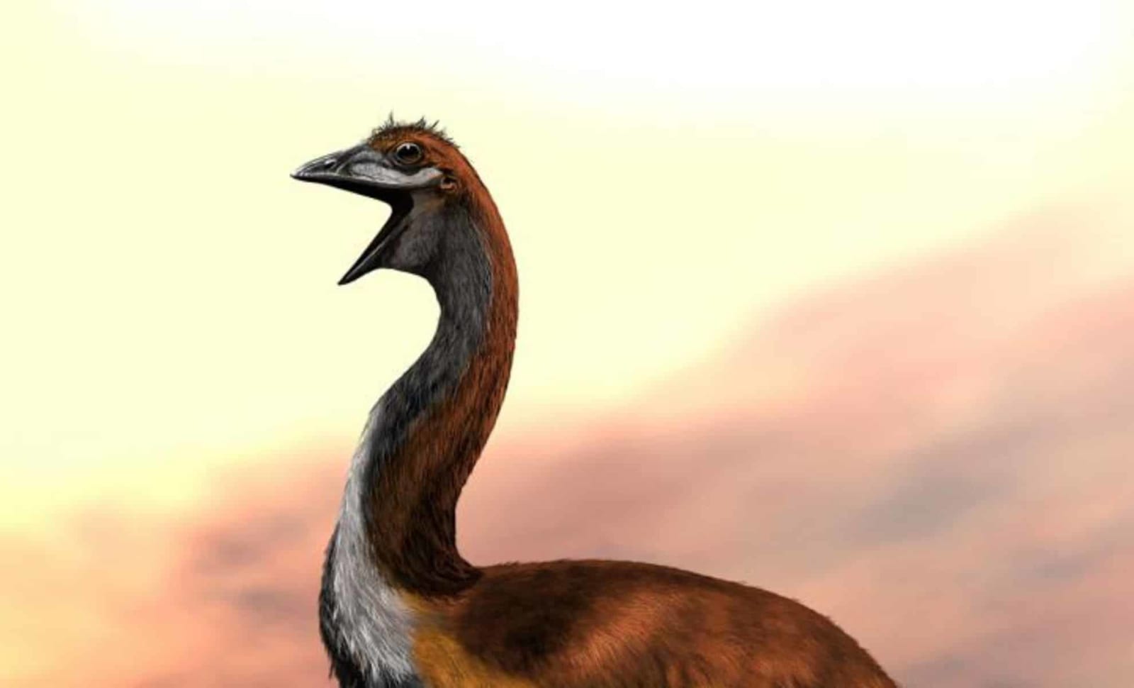 Meet The Elephant Bird — The Feathered Beast That Weighed As Much As A ...
