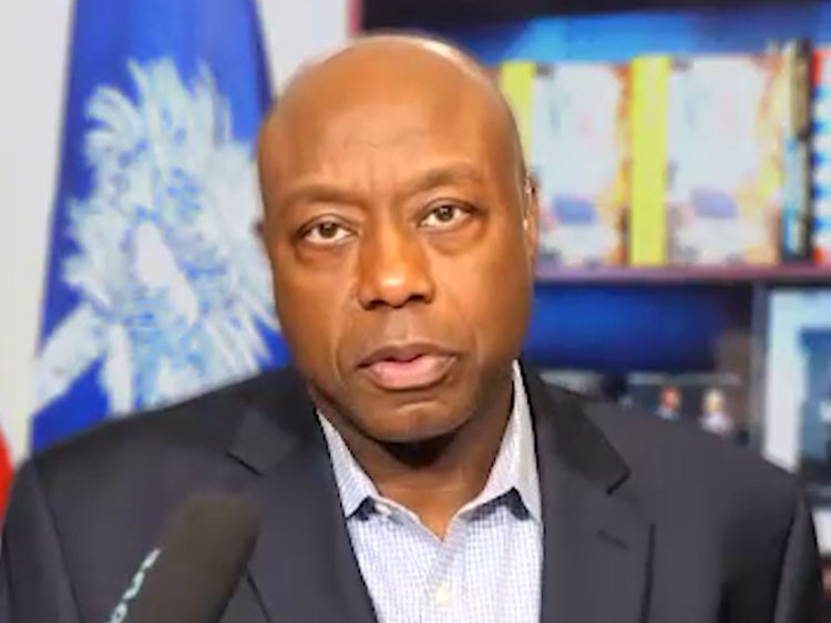 Senate Banking Chair Tim Scott on Trump's New Crypto Fortune: "He's ...