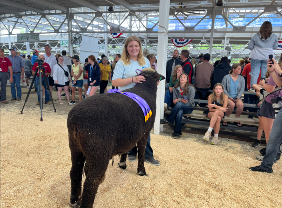 Iowa State Fair: Duke takes the crown as this year's Big Boar