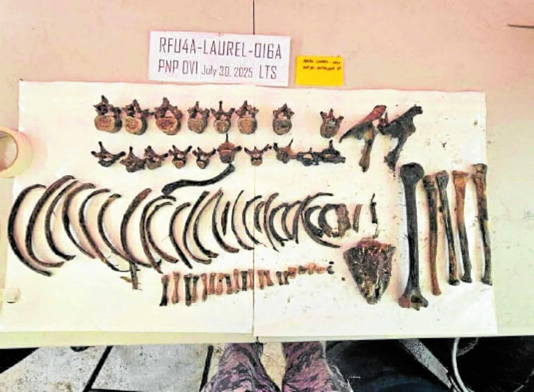 15 cops, civilians in custody over missing sabungeros case — CIDG