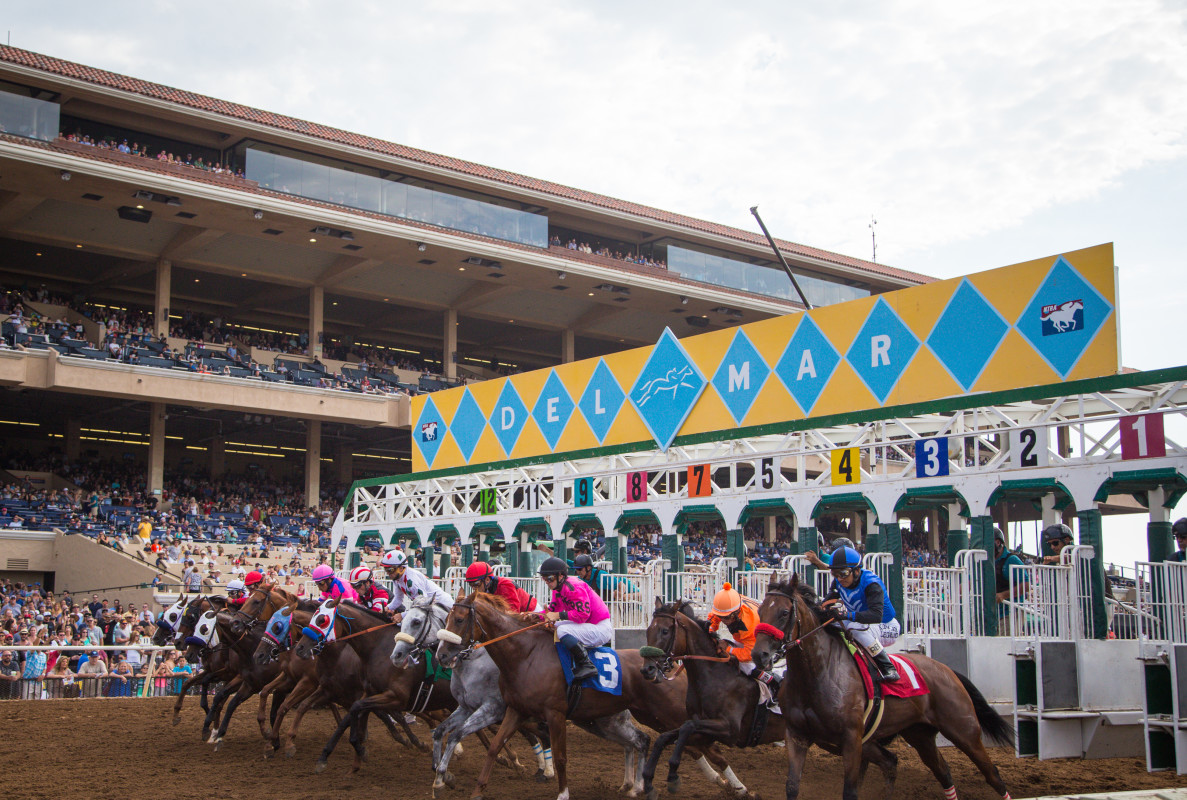 Privman The Horse Takes Privman The Writer On Ride Of A Lifetime