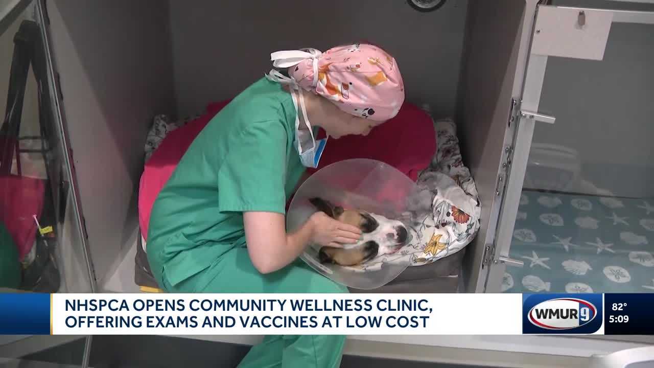 NHSPCA opens wellness clinic to help those struggling to afford ...