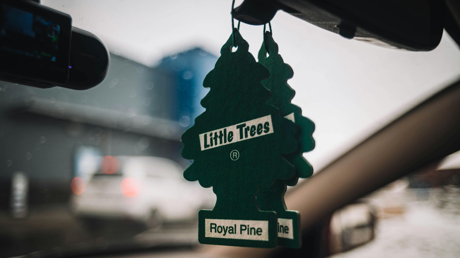 You Might Have The Common Cold If You Have These Symptoms