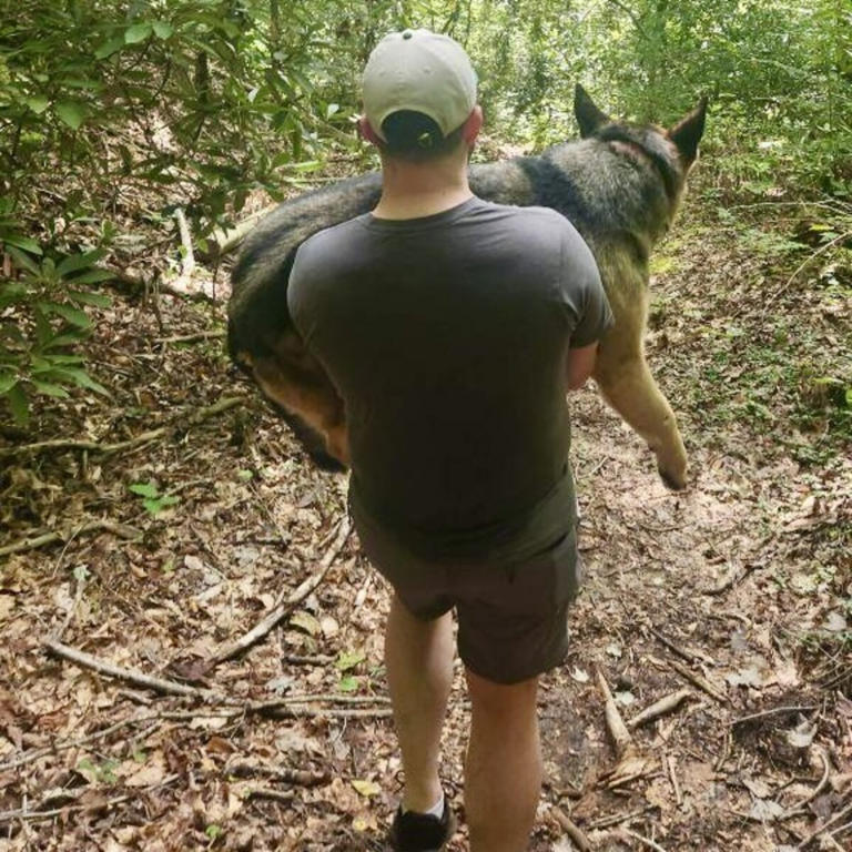 Hikers Find A Mysterious Dog Deep In The Woods And Realize She Can't Move