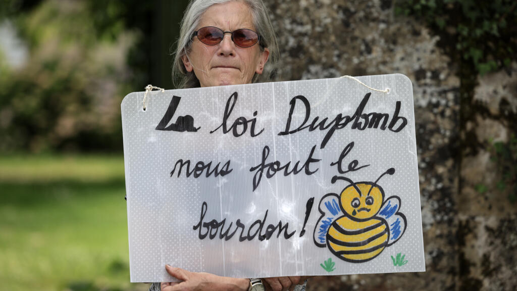 France to rule on controversial bee-killing pesticide bill