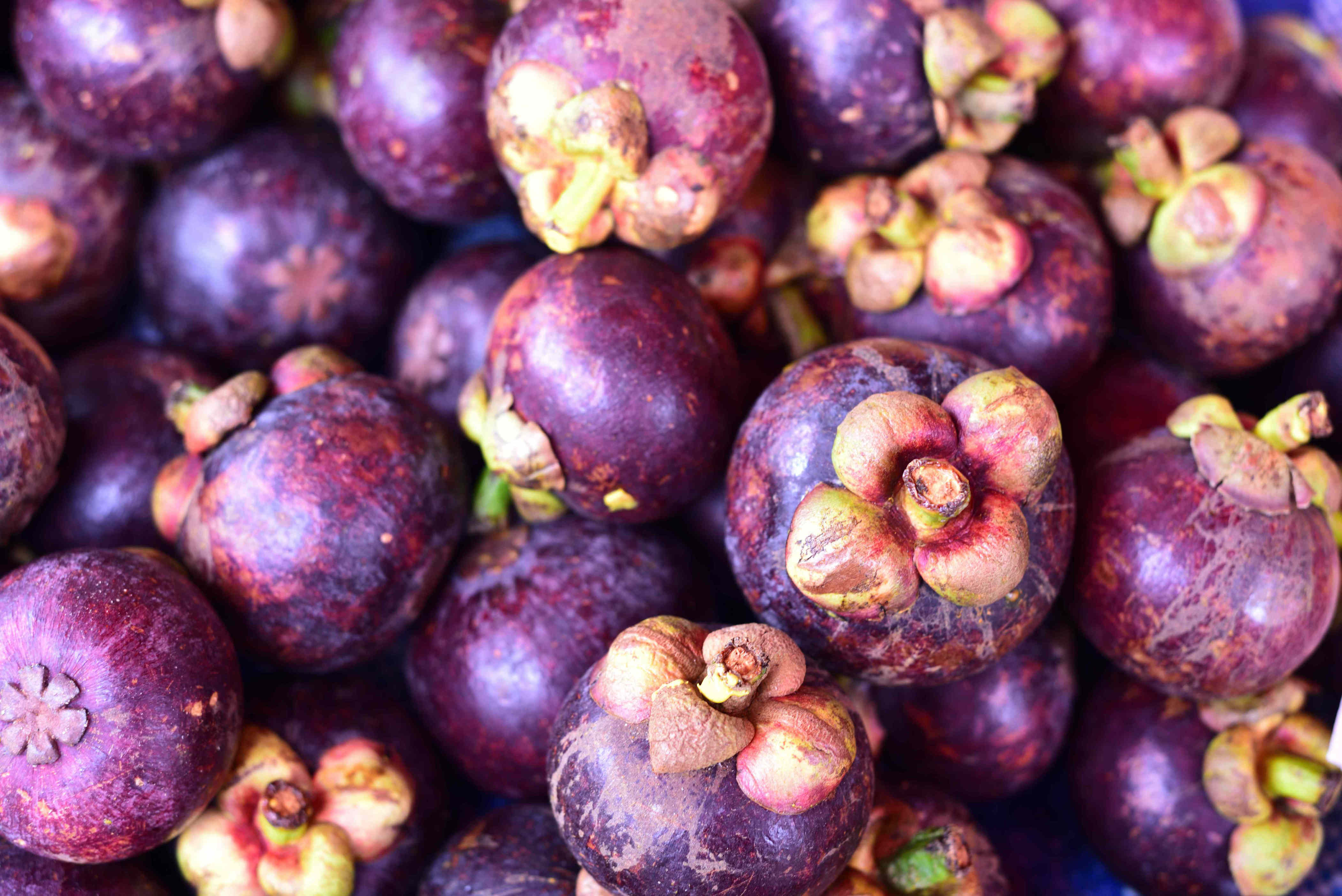 What happens to your body when you eat mangosteen regularly