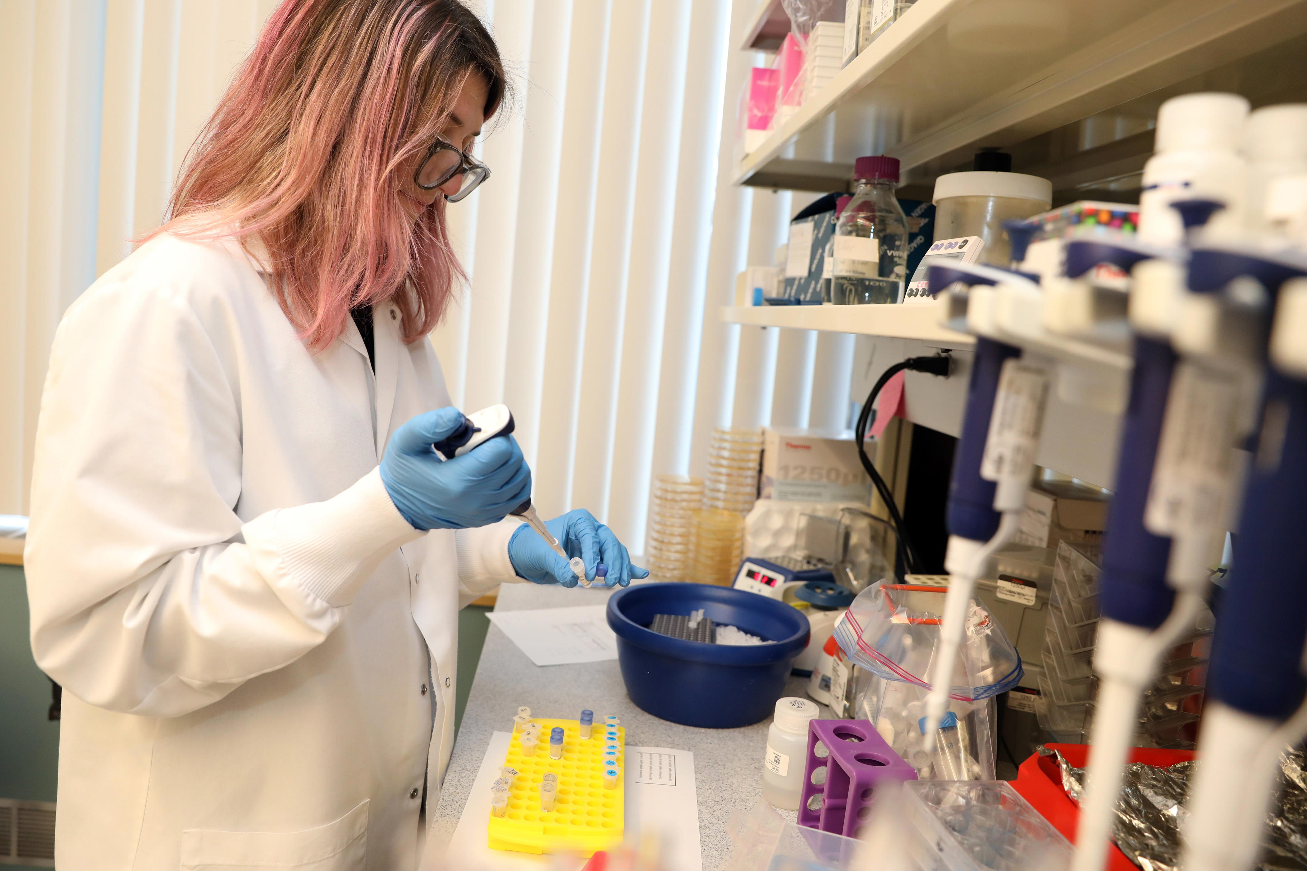 RFK Jr.'s mRNA vaccine funding cut: Are NY scientists working on mRNA ...