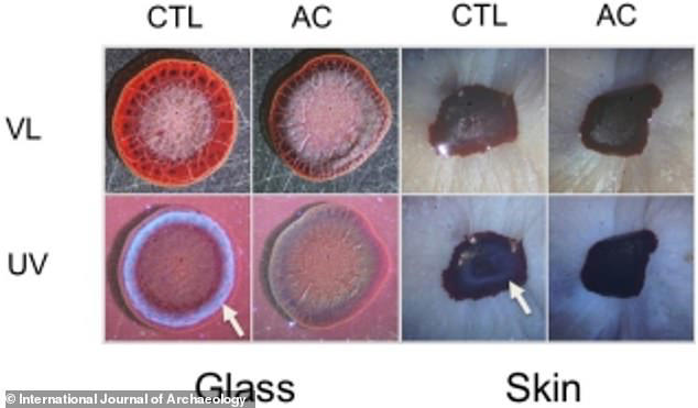 Groundbreaking new Shroud of Turin discovery PROVES centuries of ...