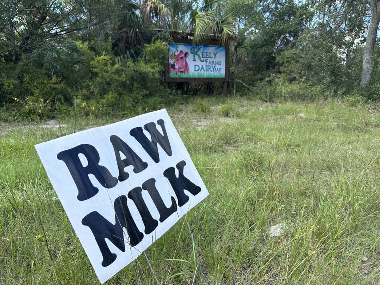 Raw milk from New Smyrna Beach dairy farm sickens 21 people in Florida
