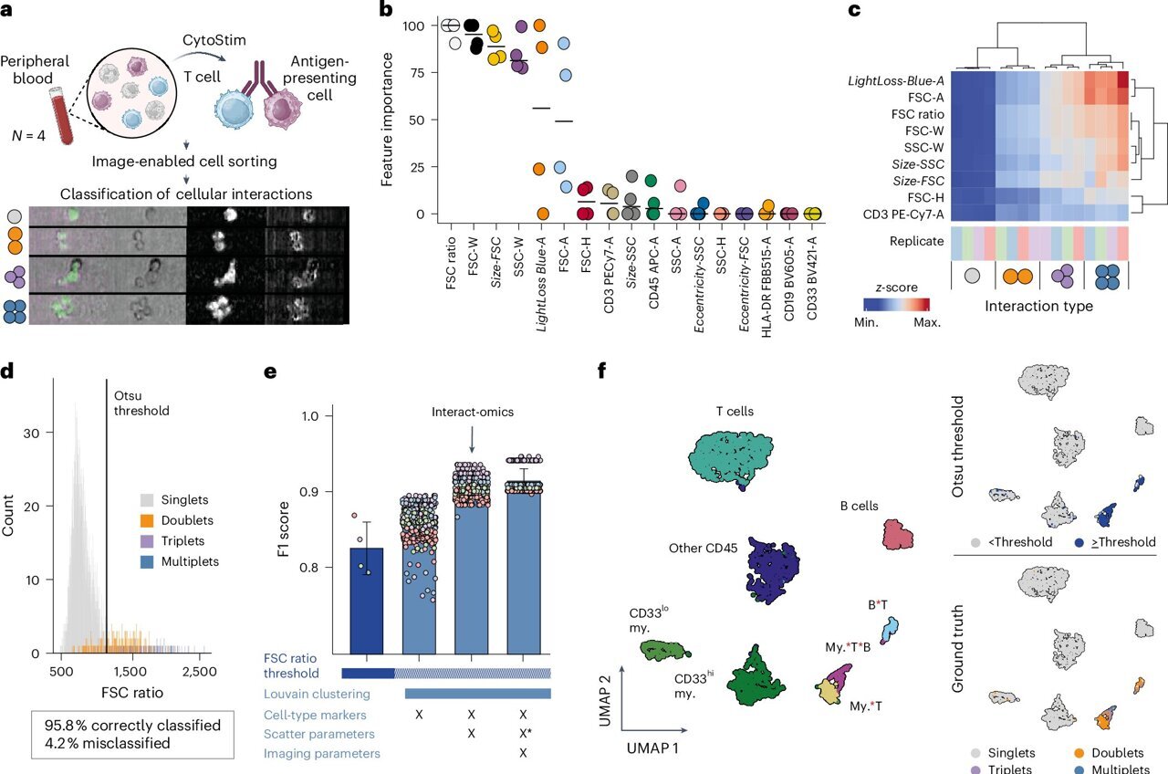 New technology maps immune cell communication to guide personalized ...