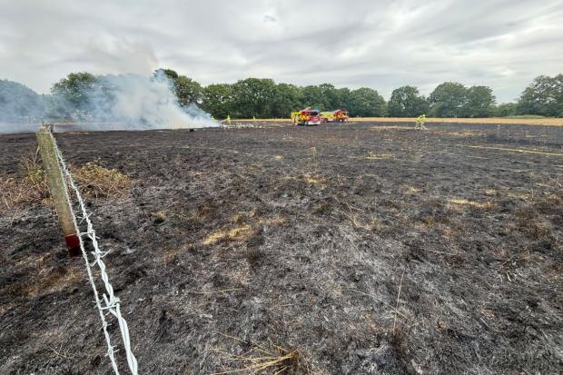 'Out of control' bonfire causes Essex field fire spanning across four ...
