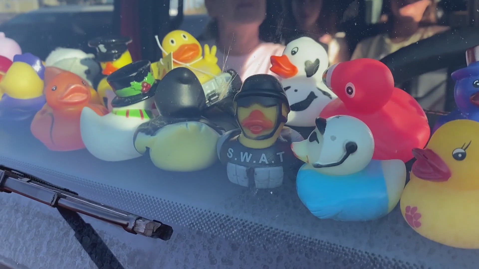 Duck, Duck, Jeep: how a rubber duck trend is building community