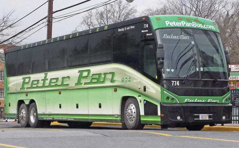 Man In Wheelchair Struck Dead By Peter Pan Bus Heading To DC From ...