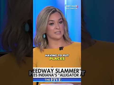 Katie Pavlich SHUTS DOWN woke Jessica Tarlov on illegal immigration
