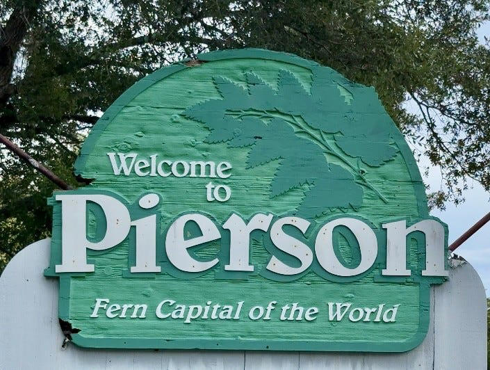 Pierson town council responds to Volusia Sheriff Mike Chitwood's ...