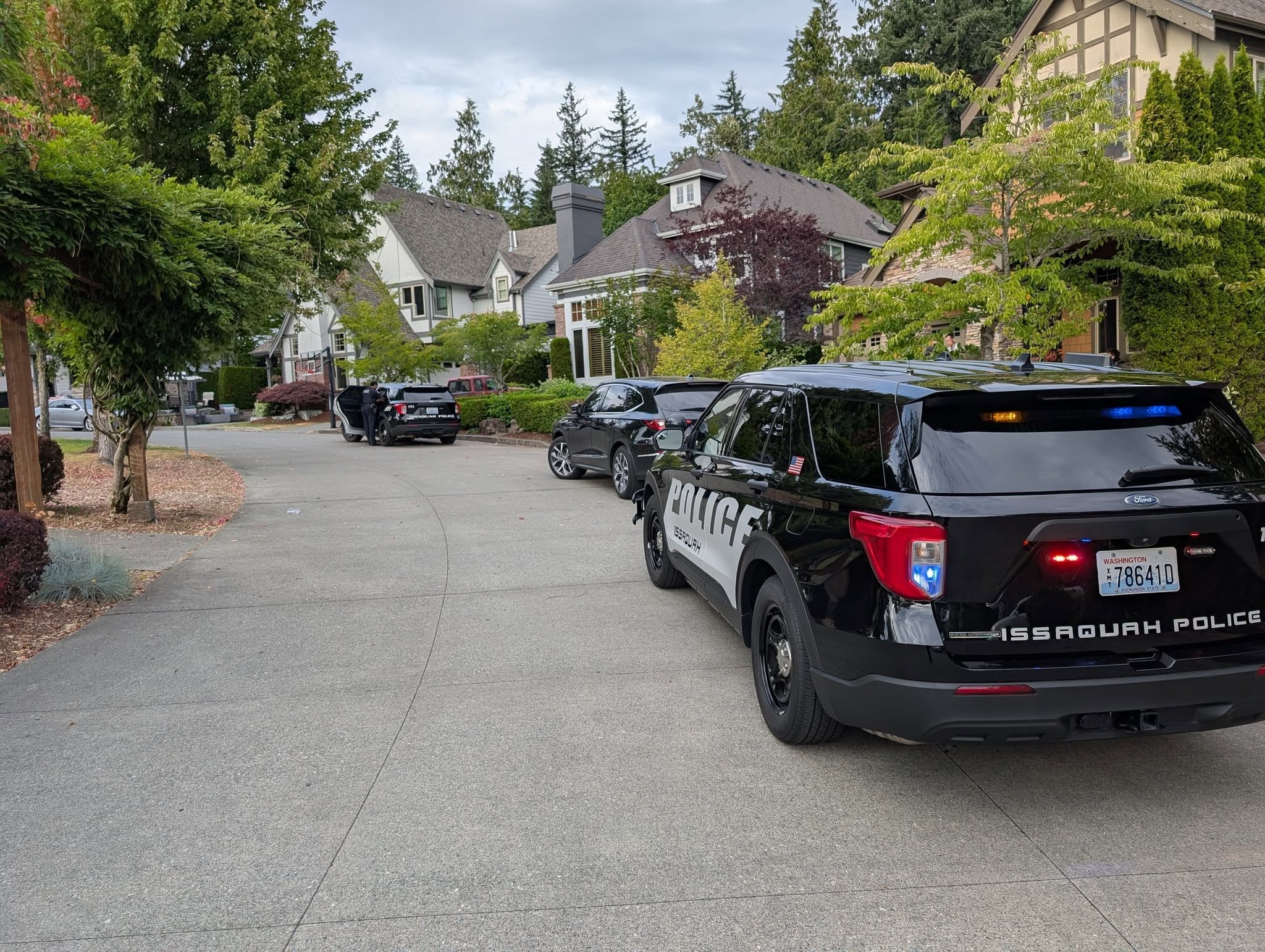 Rocks thrown, gun shown: Juvenile booked after brandishing incident in ...