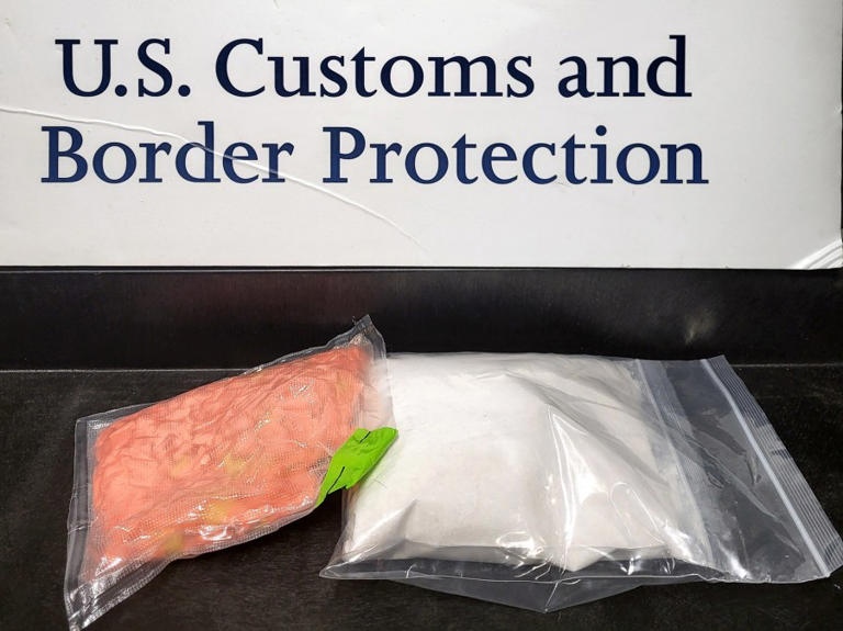 Philadelphia Customs and Border Protection officers find drugs in kid’s ...