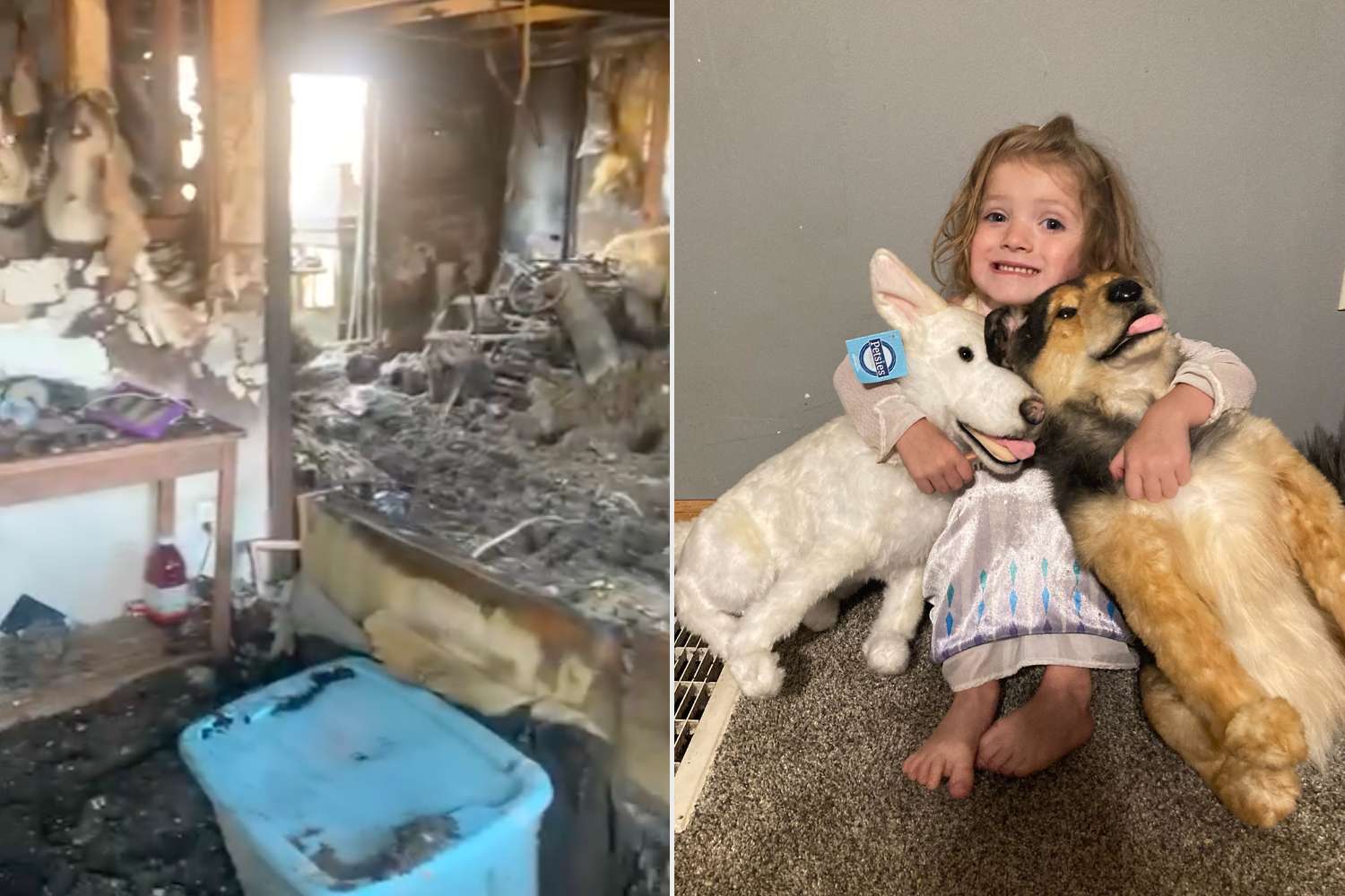 Family Loses 2 of Their Dogs in House Fire. A Special Gift Helps the ...