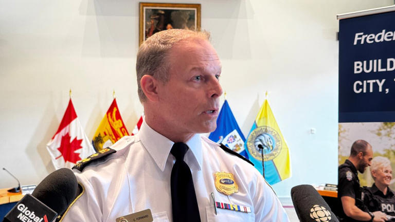 Fredericton launches dashboard to track public safety gambits, but most ...