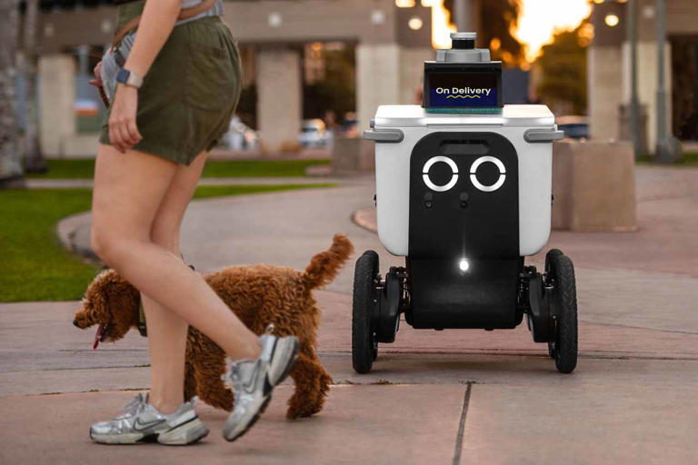 This AI-Trained Robot Delivers Uber Eats Better Than Humans. The Stock ...