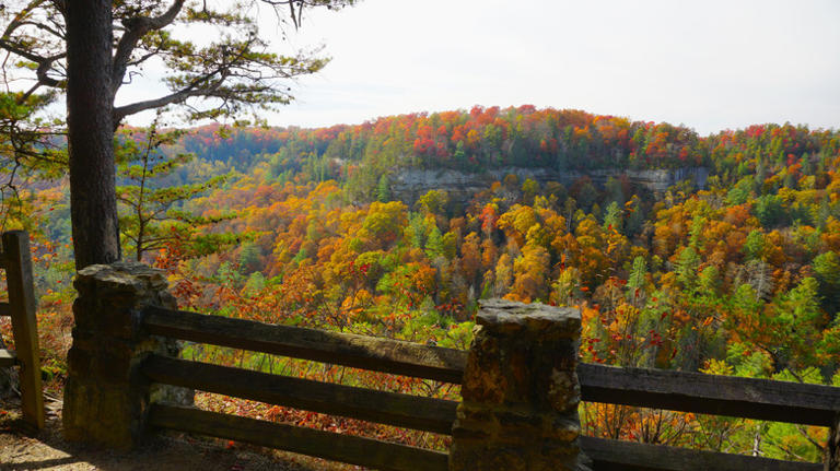 Hidden In Kentucky's Red River Gorge Is A Short And Sweet Trail Leading ...