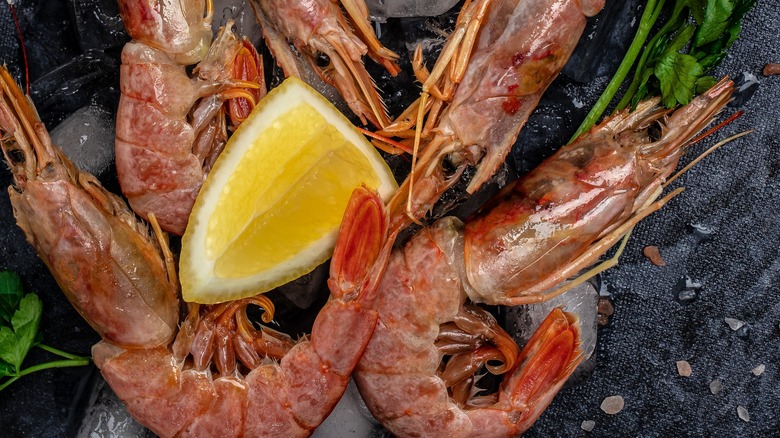 12 Types Of Shrimp Explained