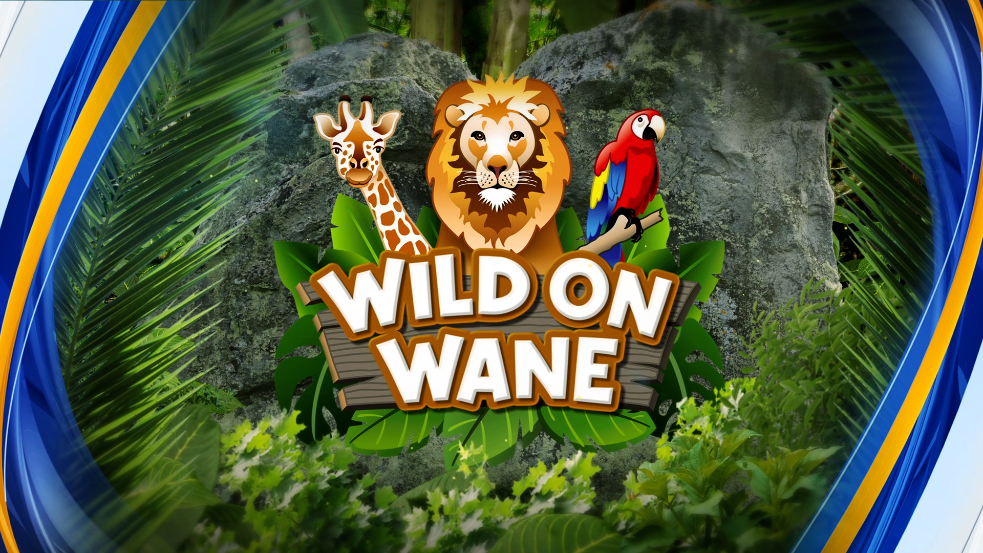 Wild on WANE 15+ Episode 6