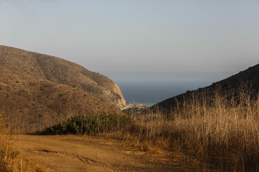 Man and woman found shot in car along Pacific Coast Highway were dead ...