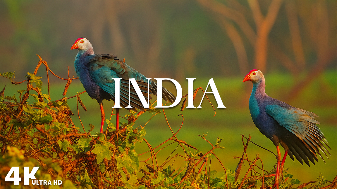 Letting the Land Tell Its Story – India Aerial Views with Music in 4K