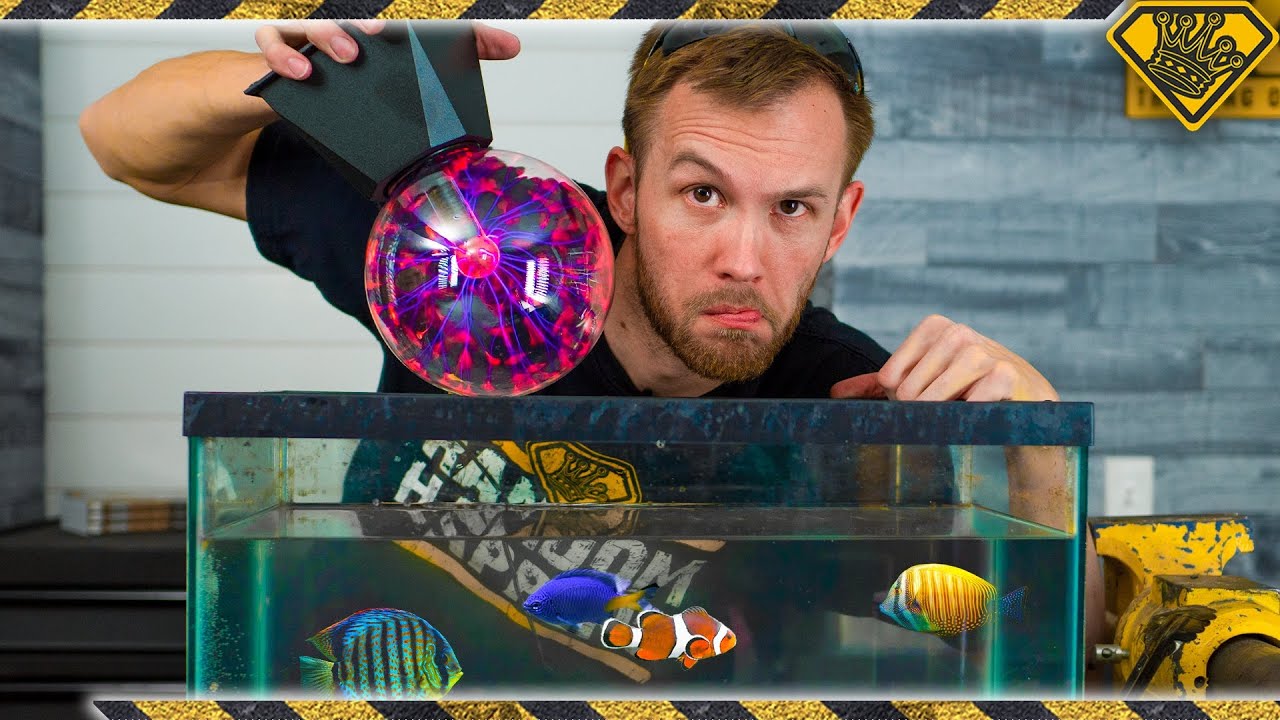 What Happens to a Plasma Globe Underwater?