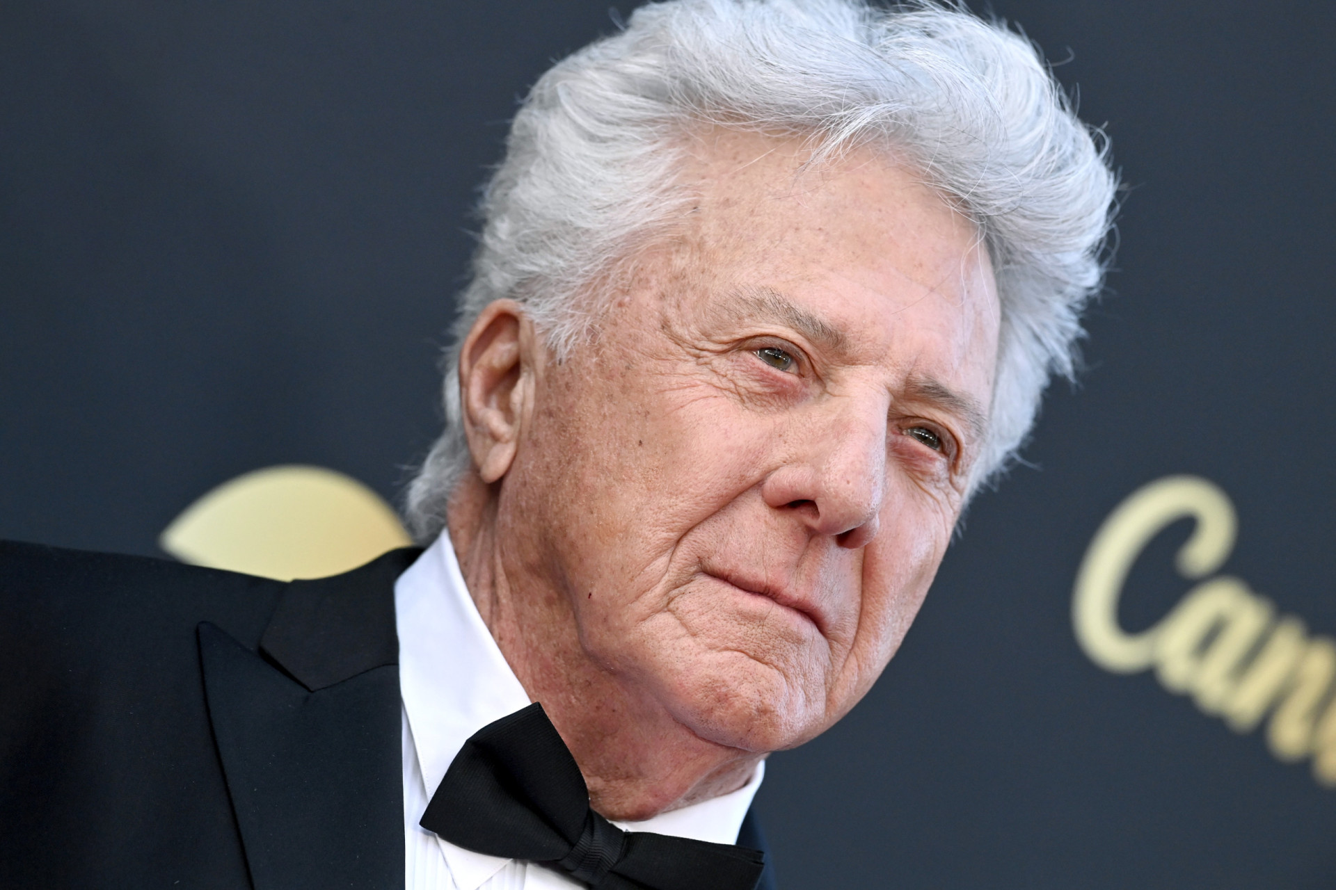 The many faces of Dustin Hoffman
